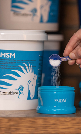 Magnesium citrate for horses | PharmaHorse