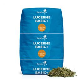Lucerne Basic+ | PharmaHorse